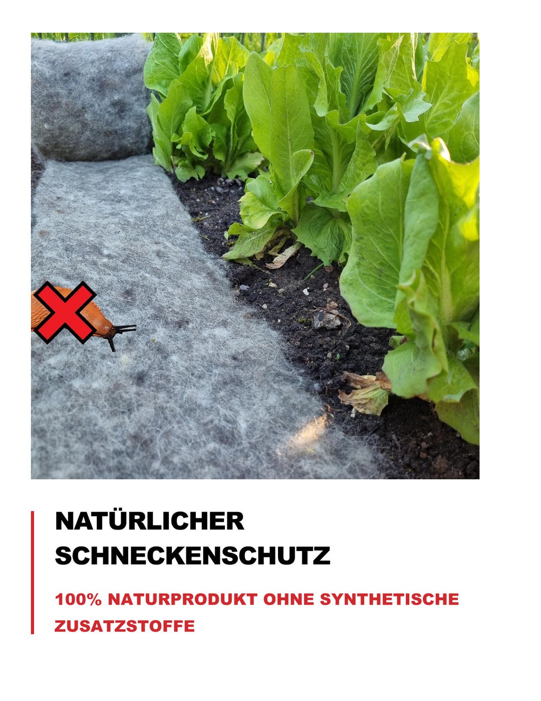 Snail Protection Snail Brake 100% Sheep's Wool Organic Snail Repellent ...