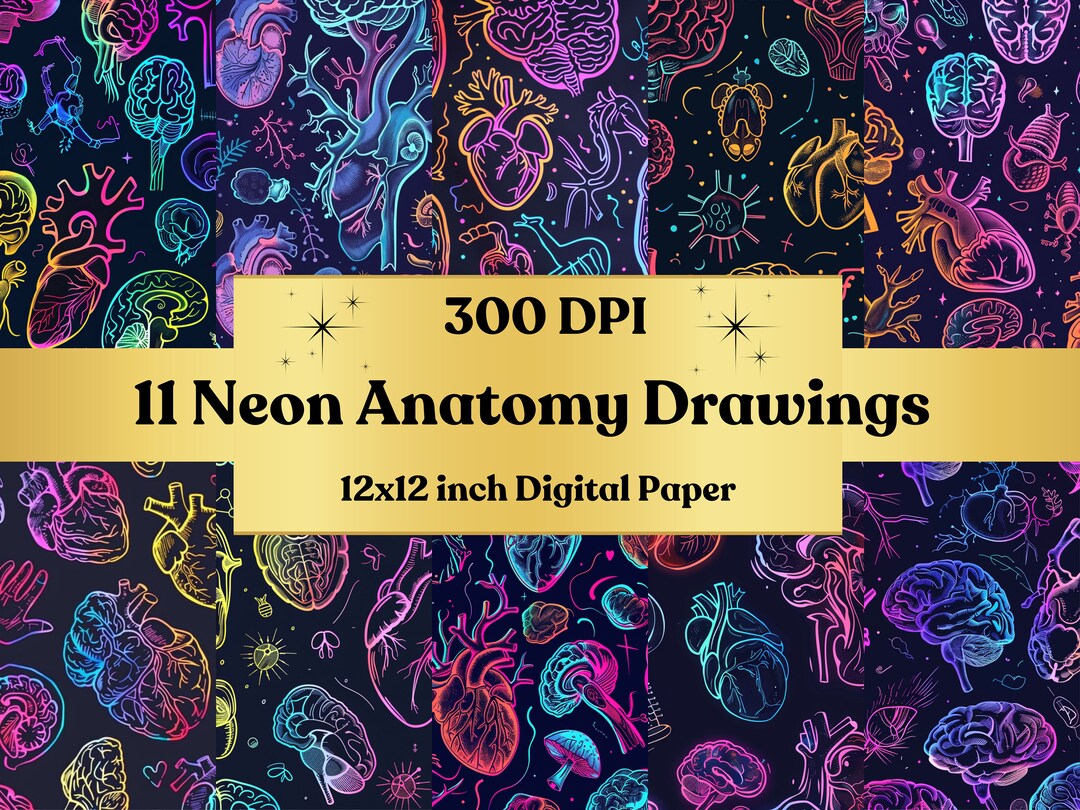 Neon Anatomy Drawings, Human Anatomy Printable Paper, Anatomy Art ...