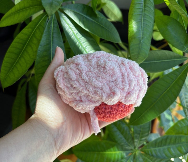 Brain Crochet Pattern PDF Anatomy - Etsy