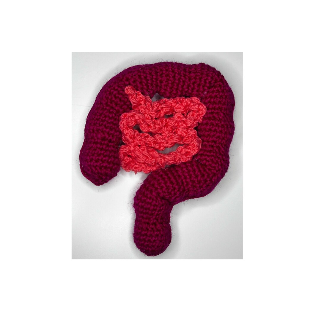 Intestines (crochet) - Etsy