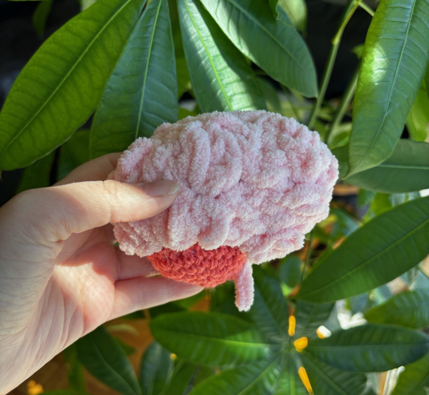 Brain Crochet Pattern PDF Anatomy - Etsy