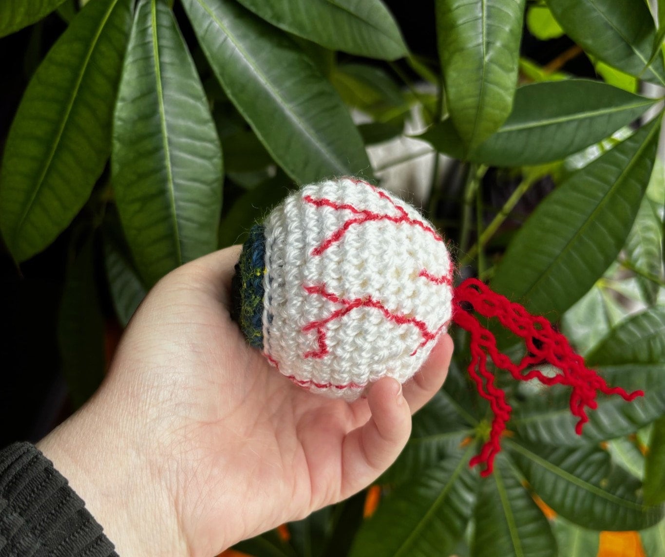 Eyeball Crochet Pattern PDF Anatomy - Etsy