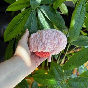 Brain Crochet Pattern PDF Anatomy - Etsy