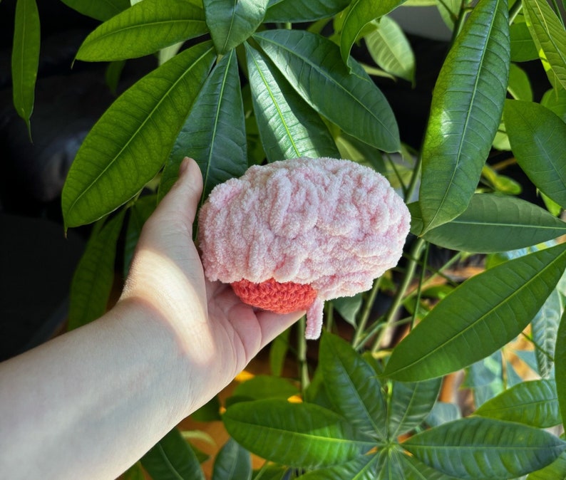 Brain Crochet Pattern PDF Anatomy - Etsy