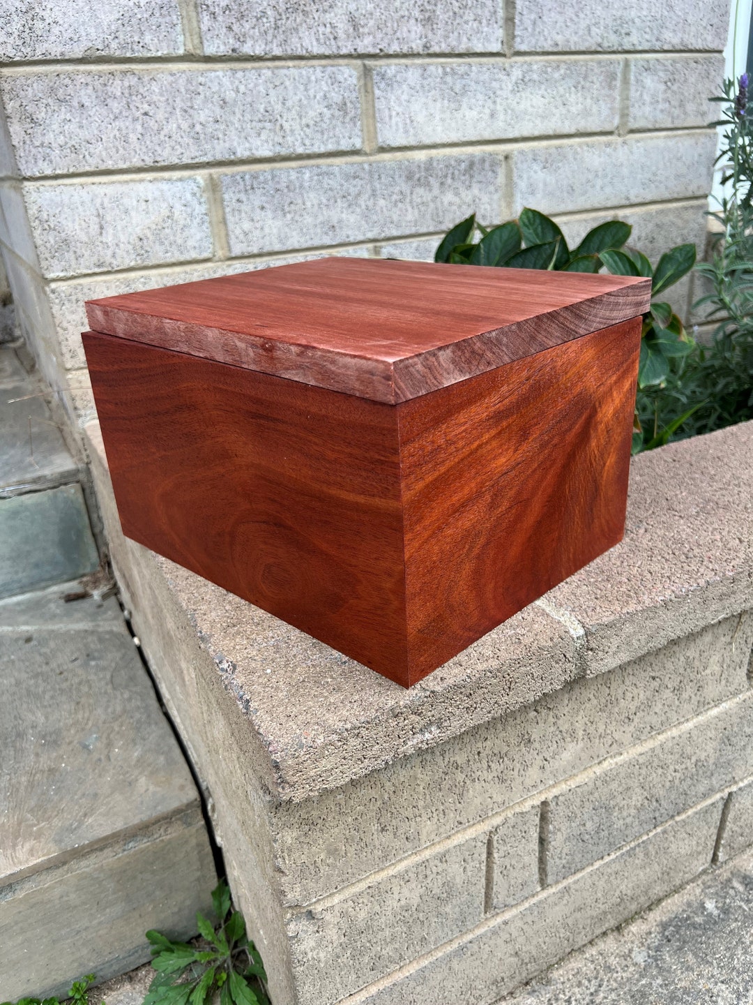 Solid Santos Mahogany Watch Box - Etsy