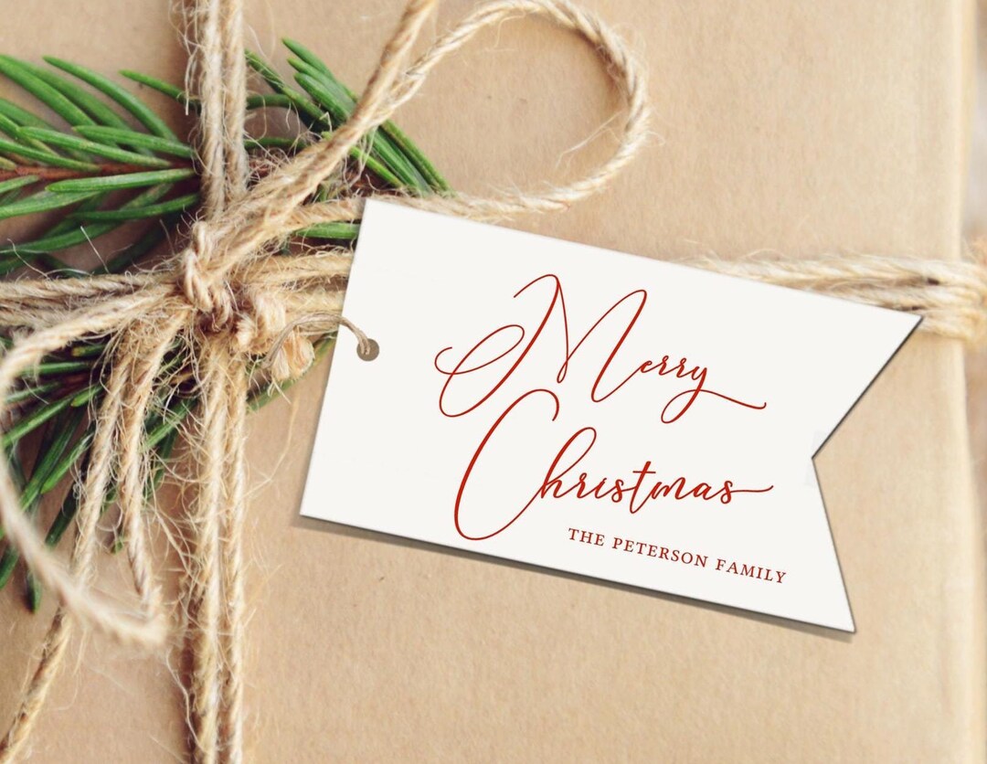 Christmas Gift Tags DIY Holiday Tag Printable Christmas Tag Holiday ...