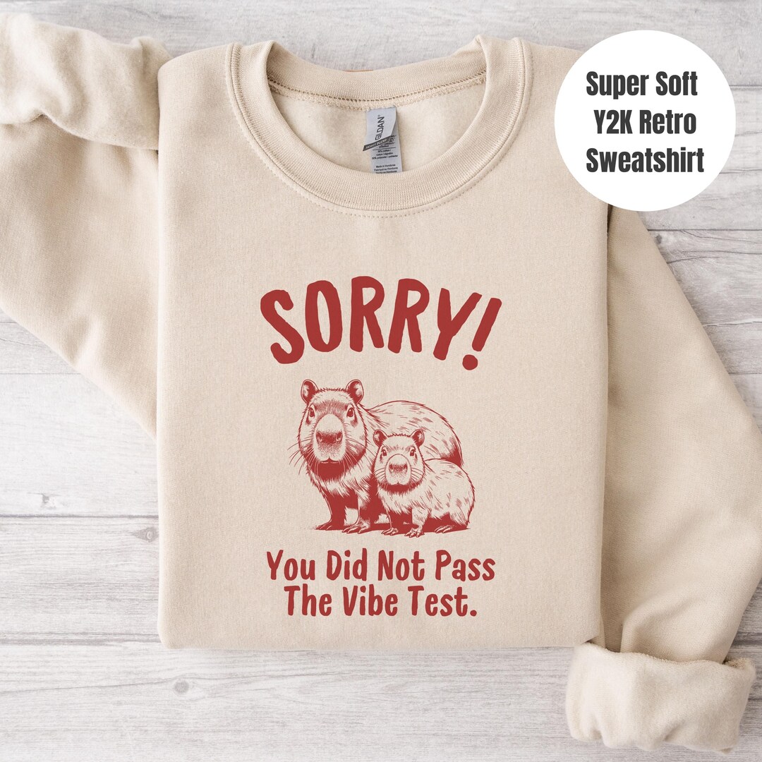 Sorry You Didn't Pass the Vibe Check Sweatshirt, Y2K Retro Capybara ...