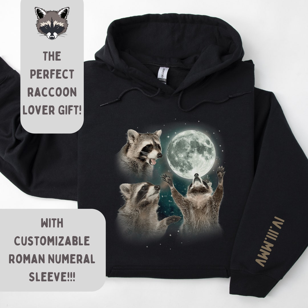 Custom 3 Raccoons Hoodie, Vintage Stay Trashy Sweatshirt ...