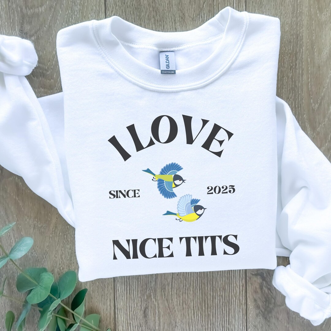 Custom I Love Nice Tits Bird Sweatshirt, Y2K Retro Meme Sweater, Funny ...