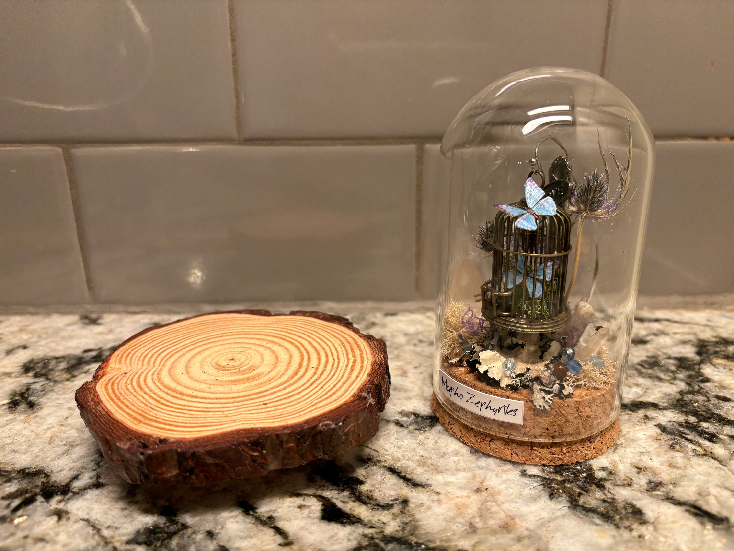 One of a Kind Curiosity Story ~ "love" ~ 2 Blue Morpho Butterflies Held ...