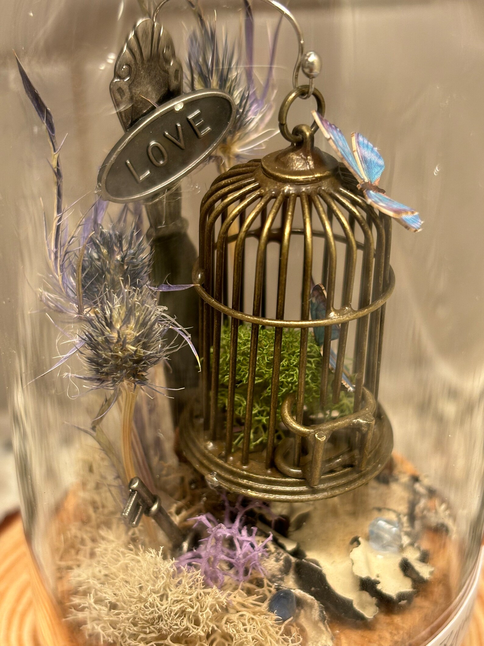 One of a Kind Curiosity Story ~ "love" ~ 2 Blue Morpho Butterflies Held ...