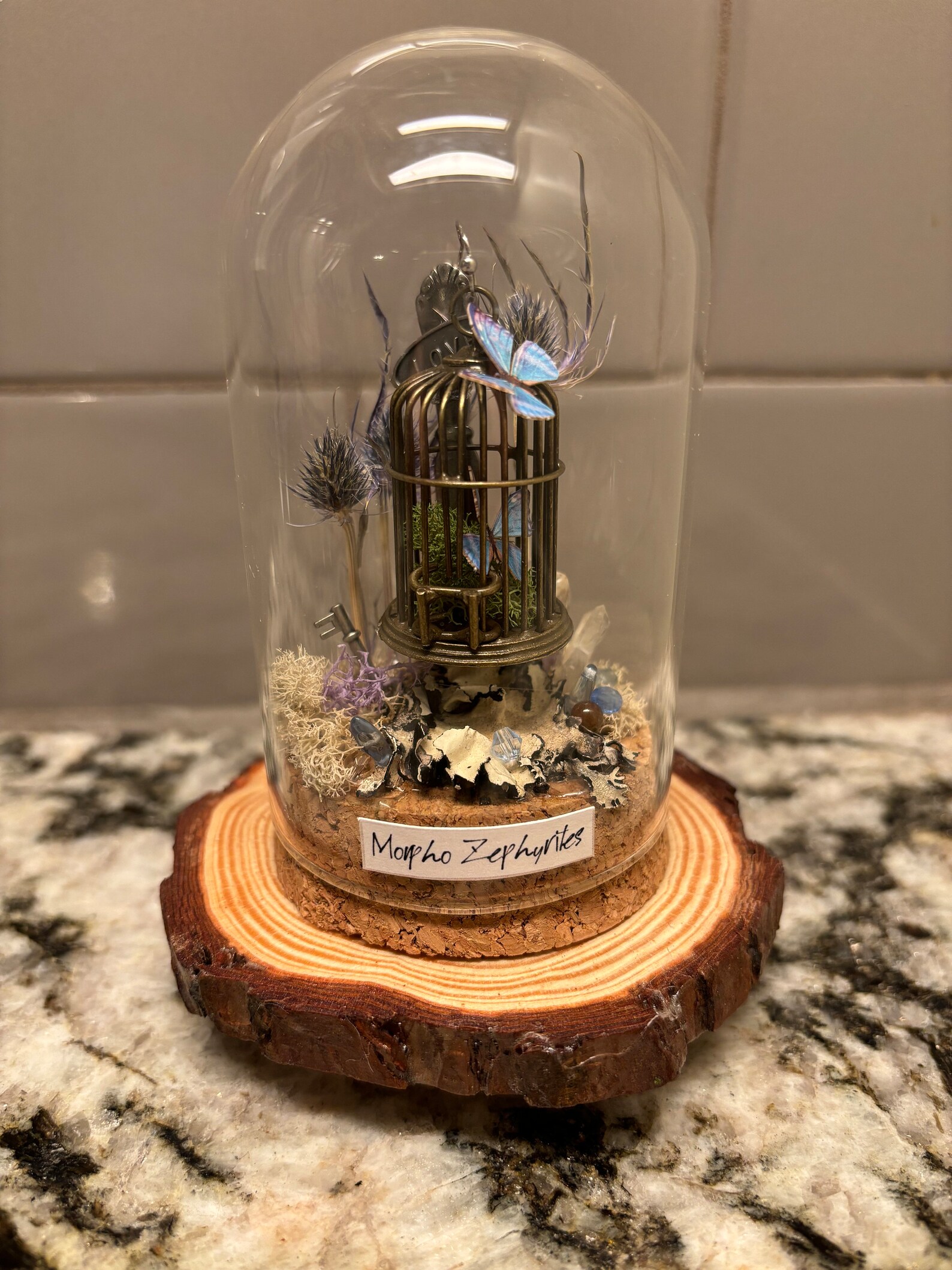 One of a Kind Curiosity Story ~ "love" ~ 2 Blue Morpho Butterflies Held ...