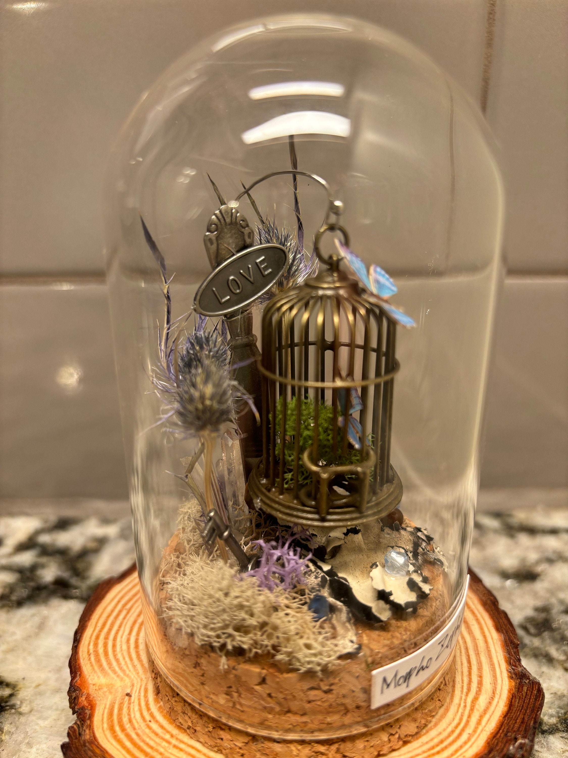 One of a Kind Curiosity Story ~ "love" ~ 2 Blue Morpho Butterflies Held ...
