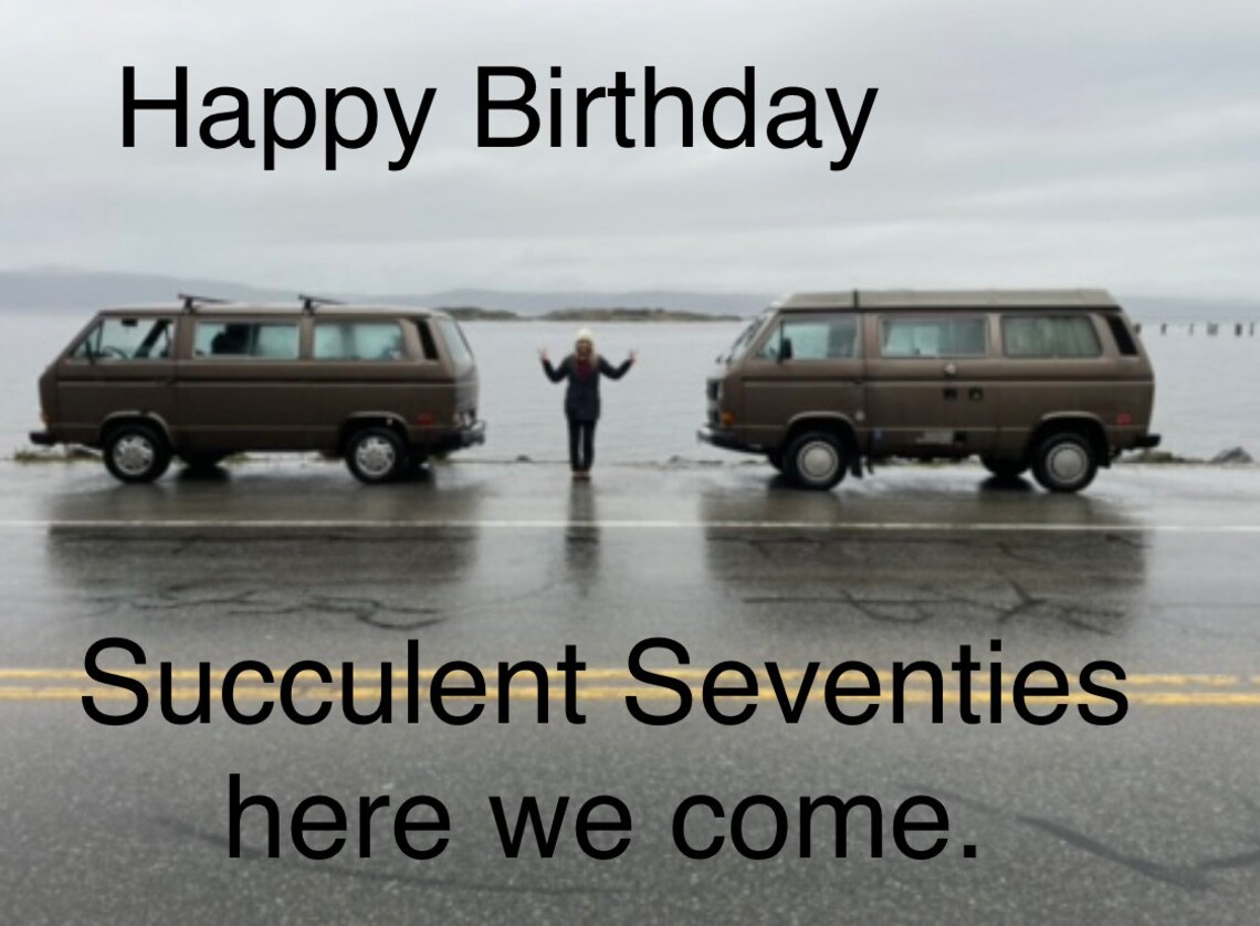 Volkswagen Inspired 5 Cards Pkg Island Lifestyle With a Boho Feel ...