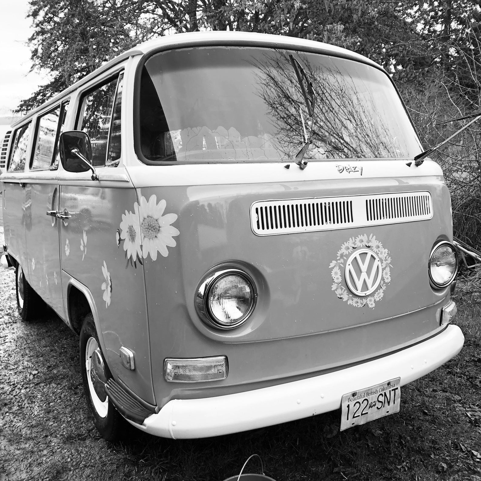 Volkswagen Inspired 5 Cards Pkg Island Lifestyle With a Boho Feel ...