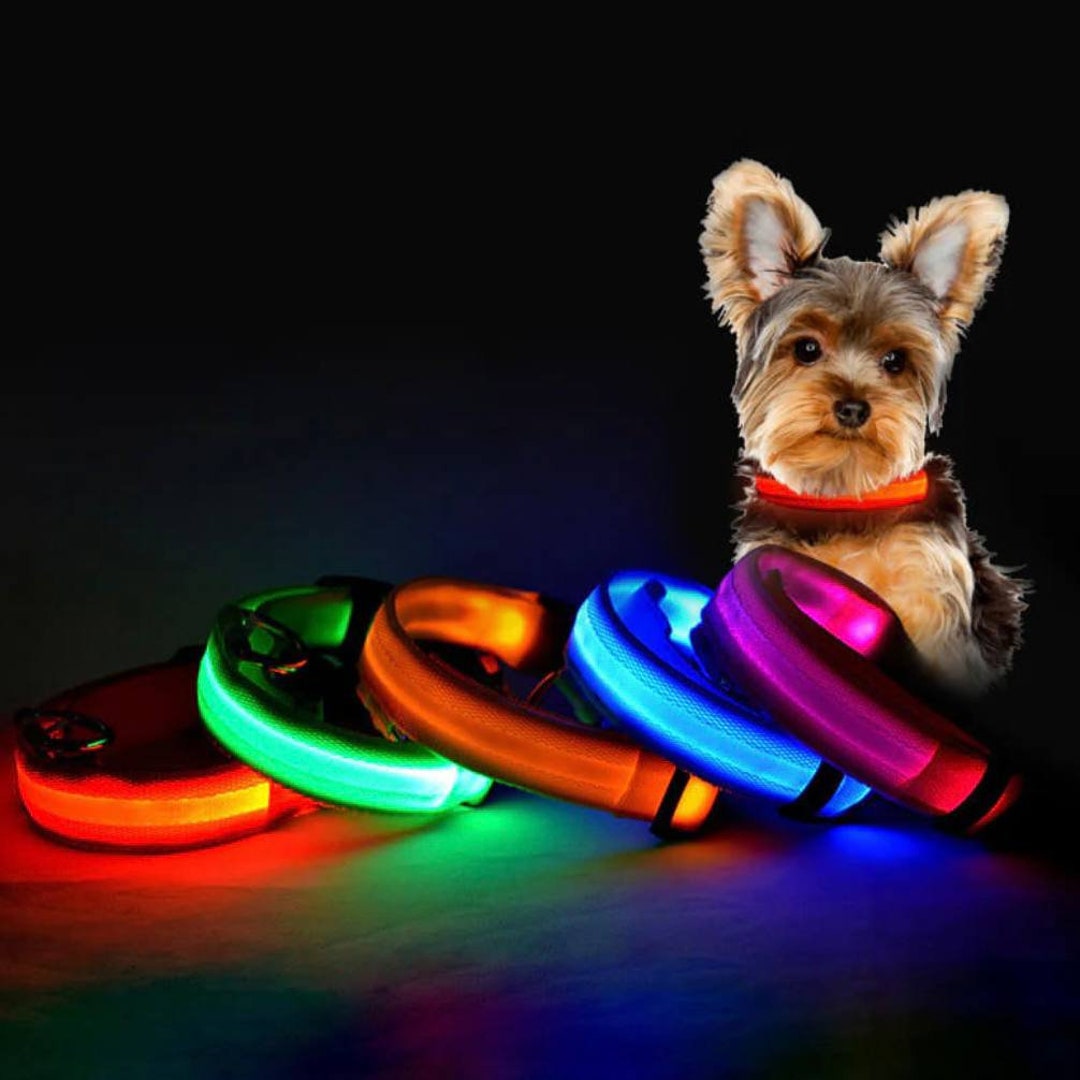 Chicx Led Collar - Etsy