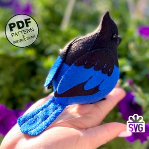 Felt Steller's Jay Sewing Pattern, Plush Bird Tutorial (PDF & SVG) - Etsy