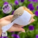 Felt Robin Bird Sewing Pattern PDF and SVG. Felt Toys Pattern. Felt ...