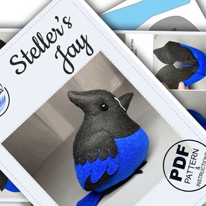 Felt Steller's Jay Sewing Pattern, Plush Bird Tutorial (PDF & SVG) - Etsy