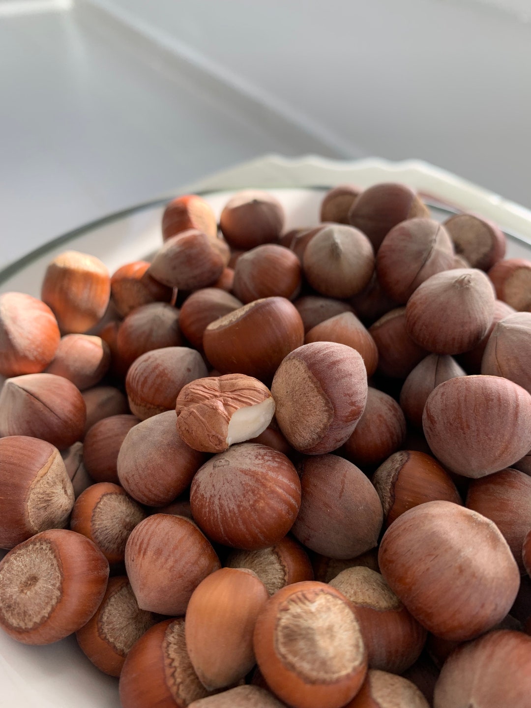 Fresh Harvested Hazelnut From Turkey, Northern Aegean Farm Product ...