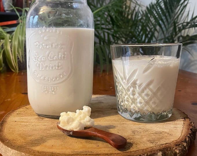 Live Milk Kefir Grains, Active Starter Culture (15g) - Etsy