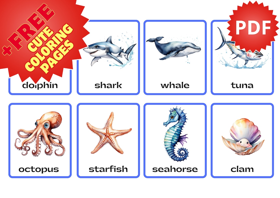 Ocean Animals Flash Cards Set 20 Montessori-inspired Nomenclature Cards ...