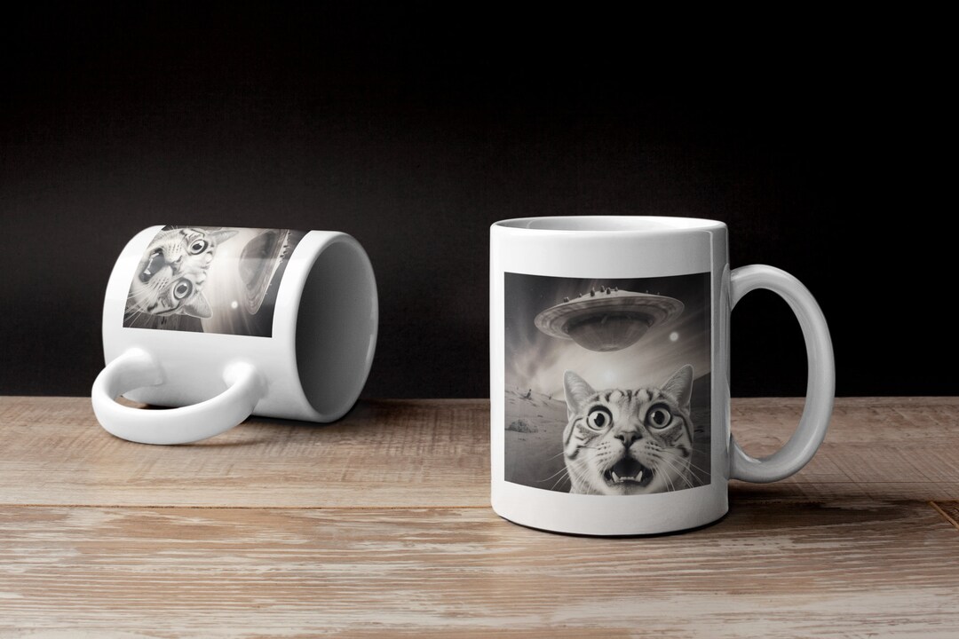 Cat Selfie With UFO Mug, Funny Cat Mug, Cat Spaceship Mug, Cat Dad Mug ...