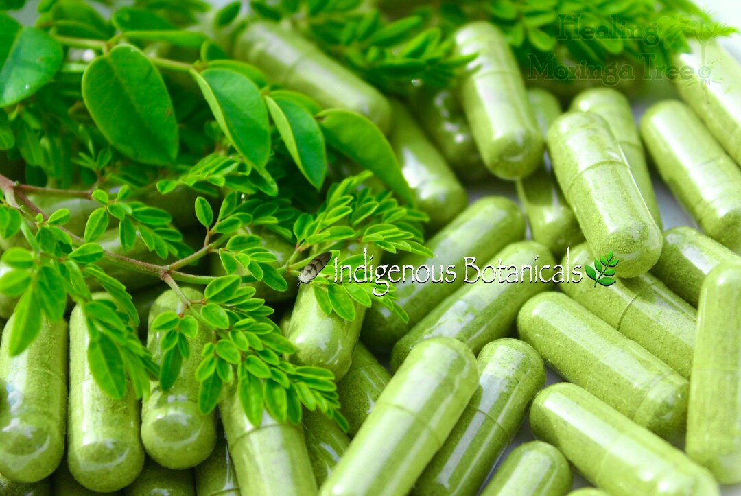 50-MEGA GREEN Organic MORINGA Oleifera Leaf Capsules! Hand Crafted ...