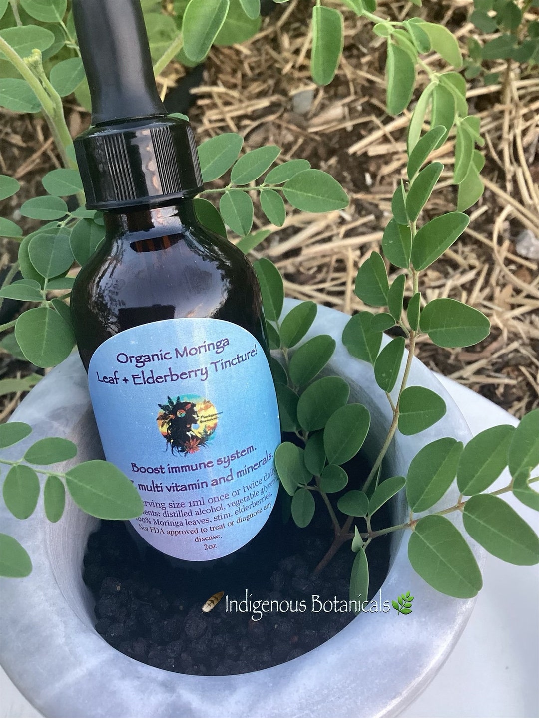 Organic Elderberry Moringa Leaf Tincture: Herbal Extract Elixir - Etsy