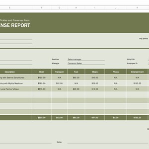 Professional Expense Report Template: Automatic Calculations - Etsy