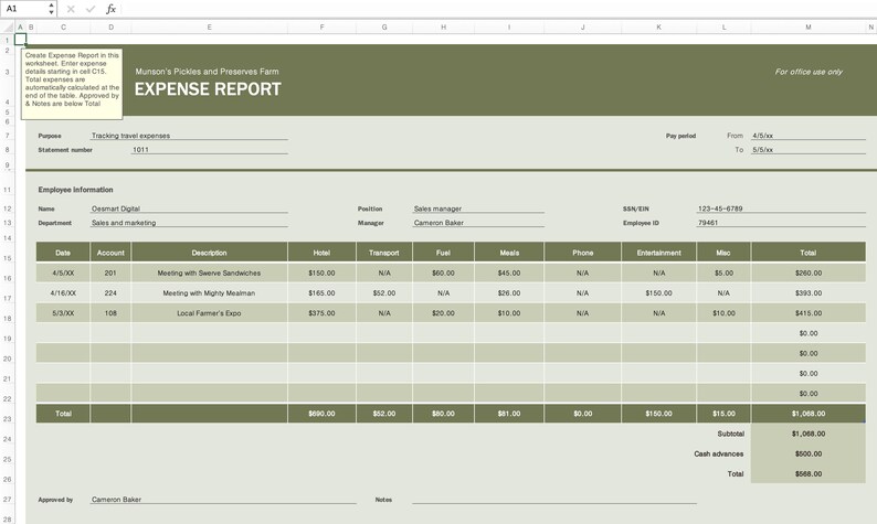 Professional Expense Report Template: Automatic Calculations - Etsy