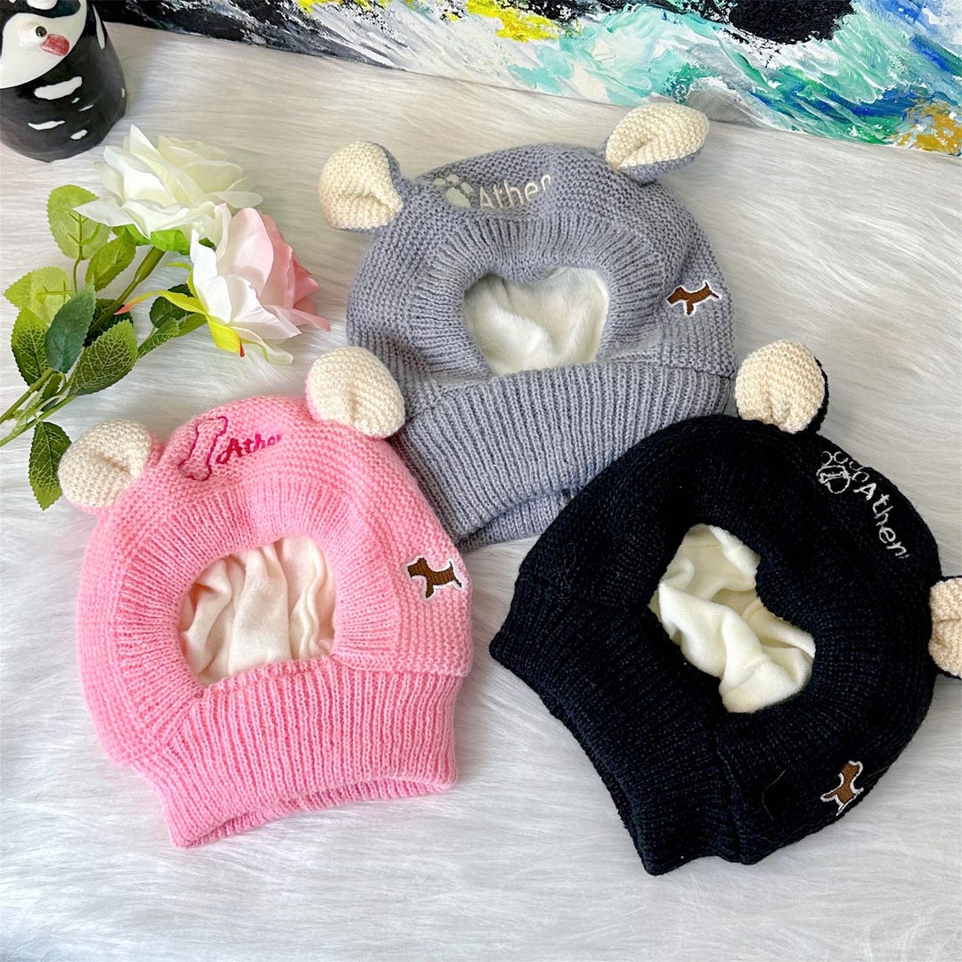 Personalized Embroidered Dog Beanie With Name, Custom Cute Cold Weather ...