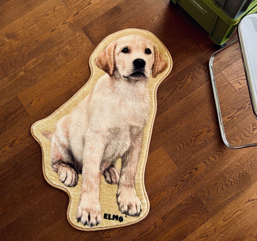 Custom Pet Portrait Rug, Personalized Rug for Dog, Pet Name Gift Rug ...