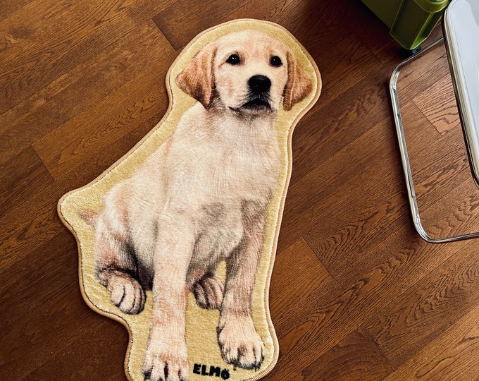 Custom Pet Portrait Rug Personalized Cartoon Pet Rug, Animals, Dog, Cat ...