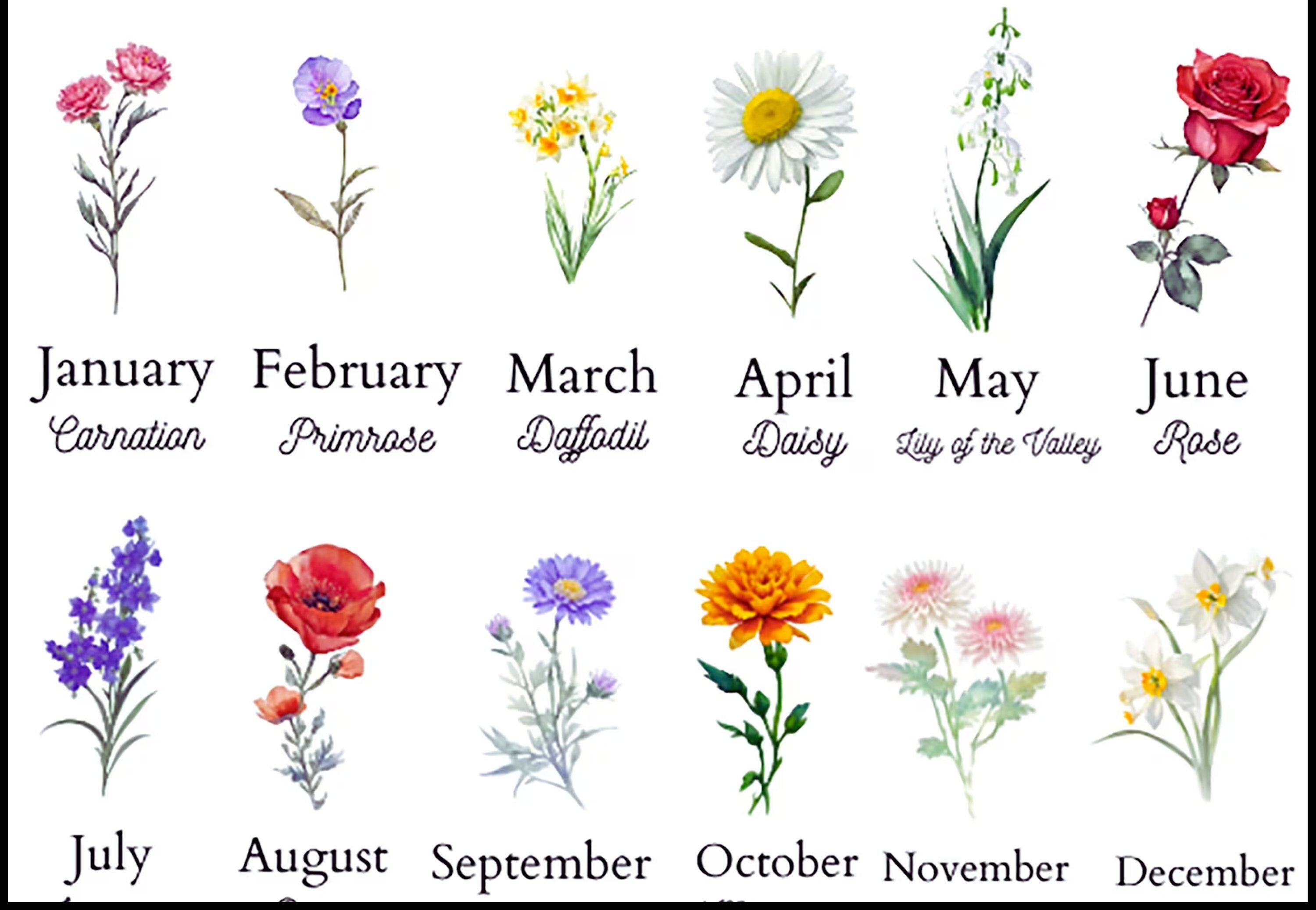 Birth Flower Mug, Personalised February Birth Flower, Gift for Her Him ...