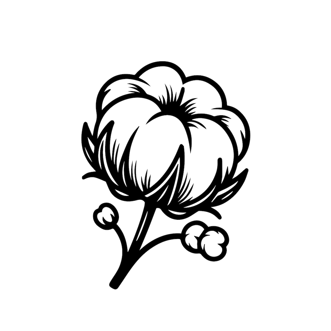 Cotton SVG | Cotton Boll PNG | Cotton Clipart | Cotton Plant | Flower ...