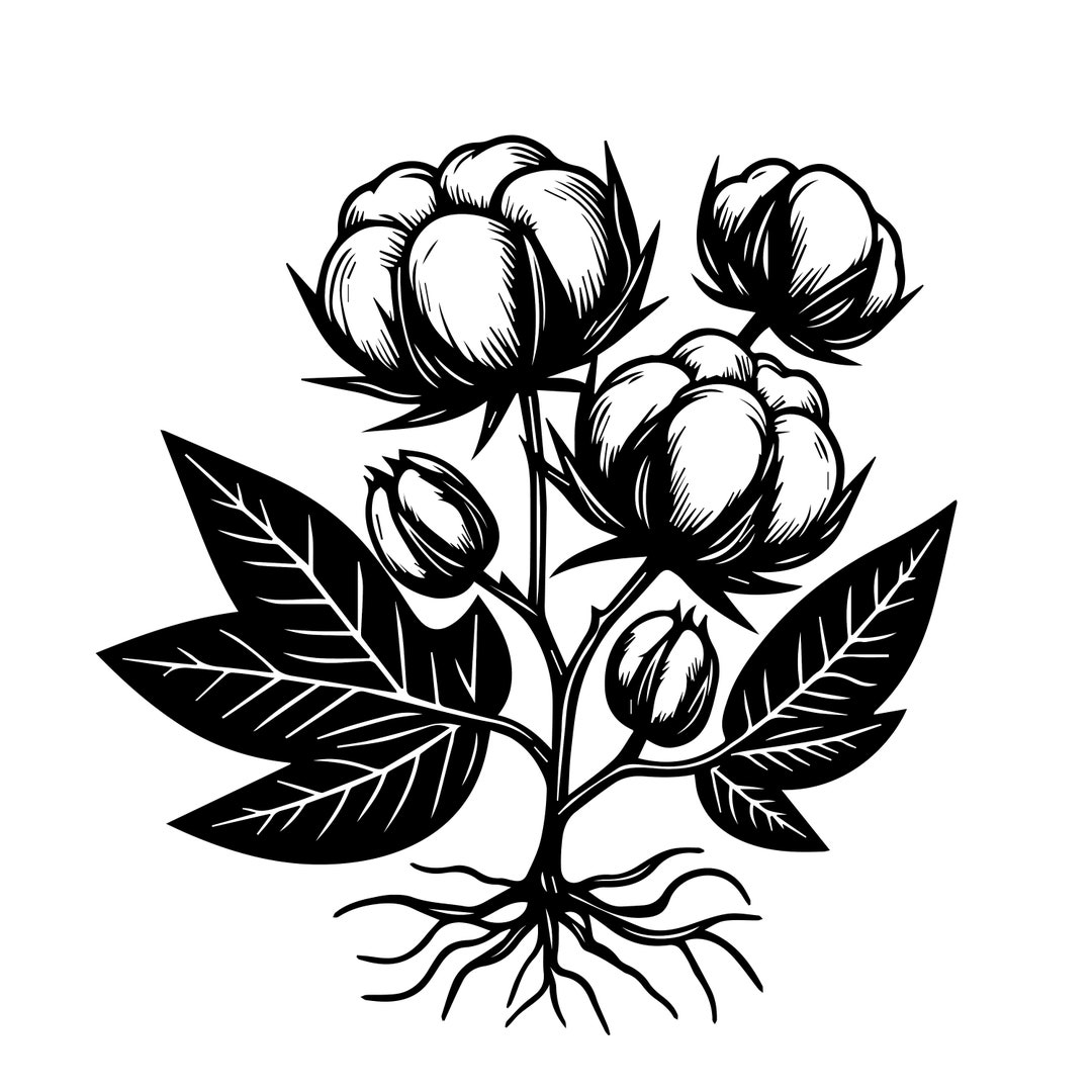 Cotton SVG, SVG Files for Cricut, Cotton Silhouette Svg, Cotton Ball ...