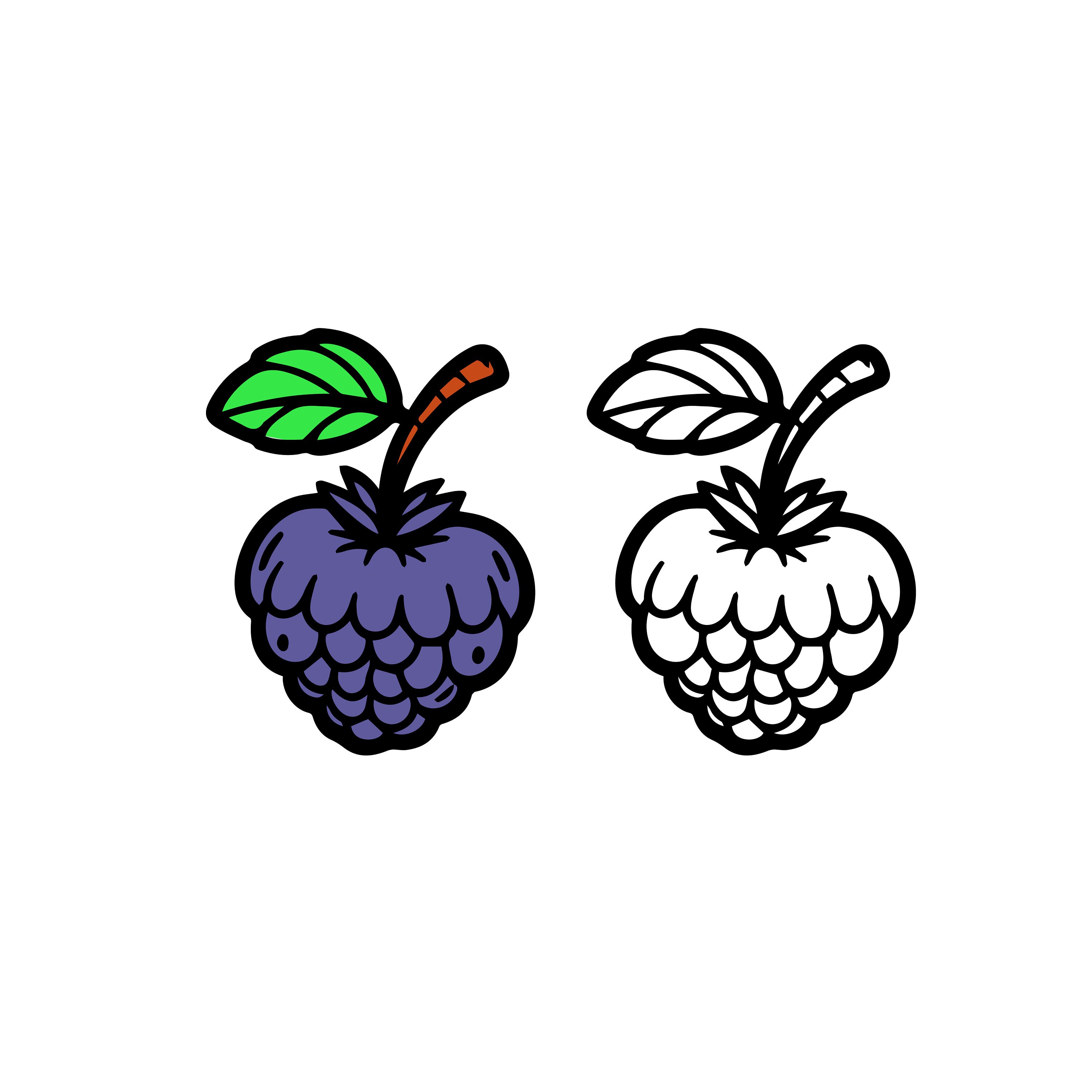 Berry Svg, Fruit Svg, Fruit Png, Berry Png, Berry Clipart, Svg Files ...