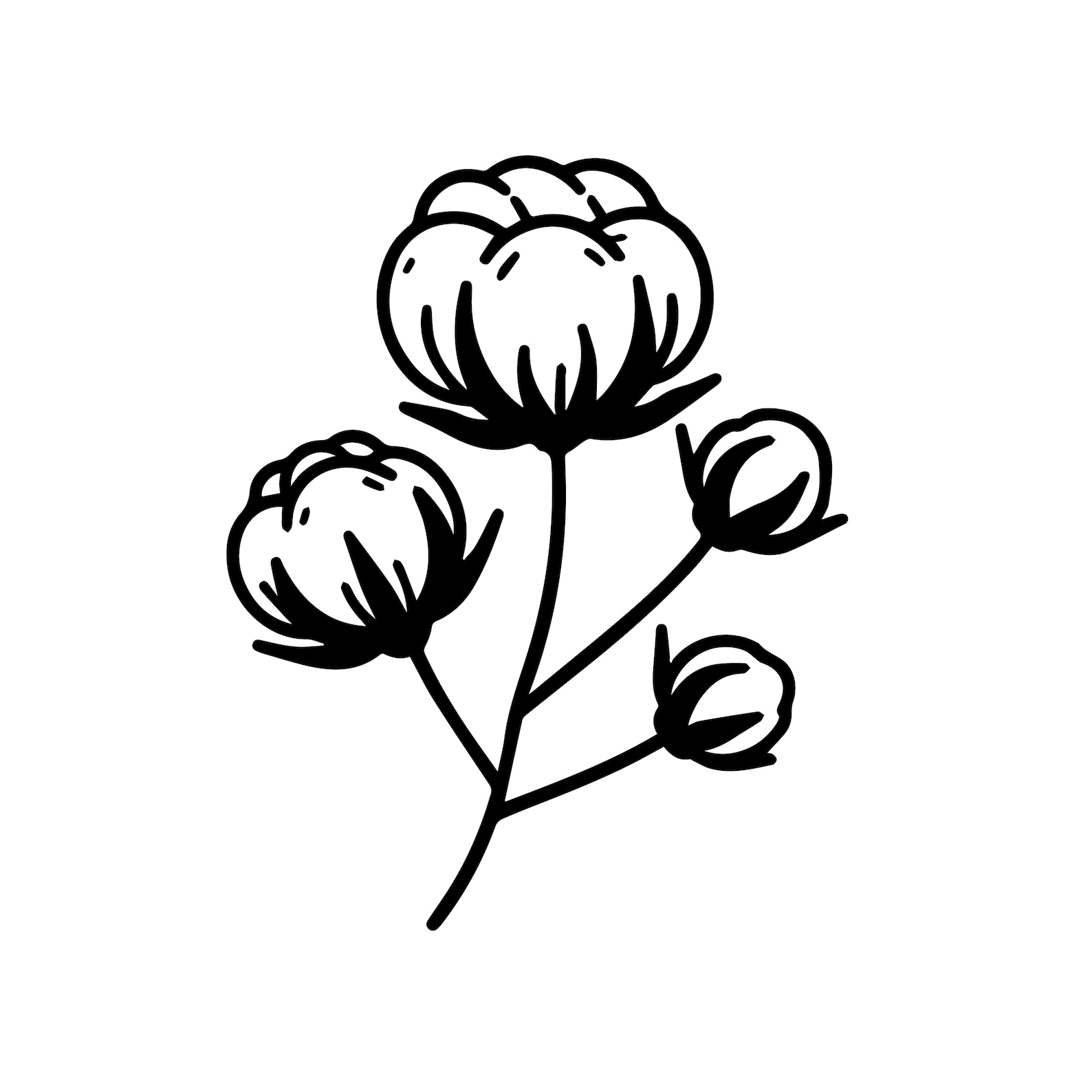 Cotton Flower SVG Png Eps Cotton Buds Cuttable File Cricut Silhouette ...