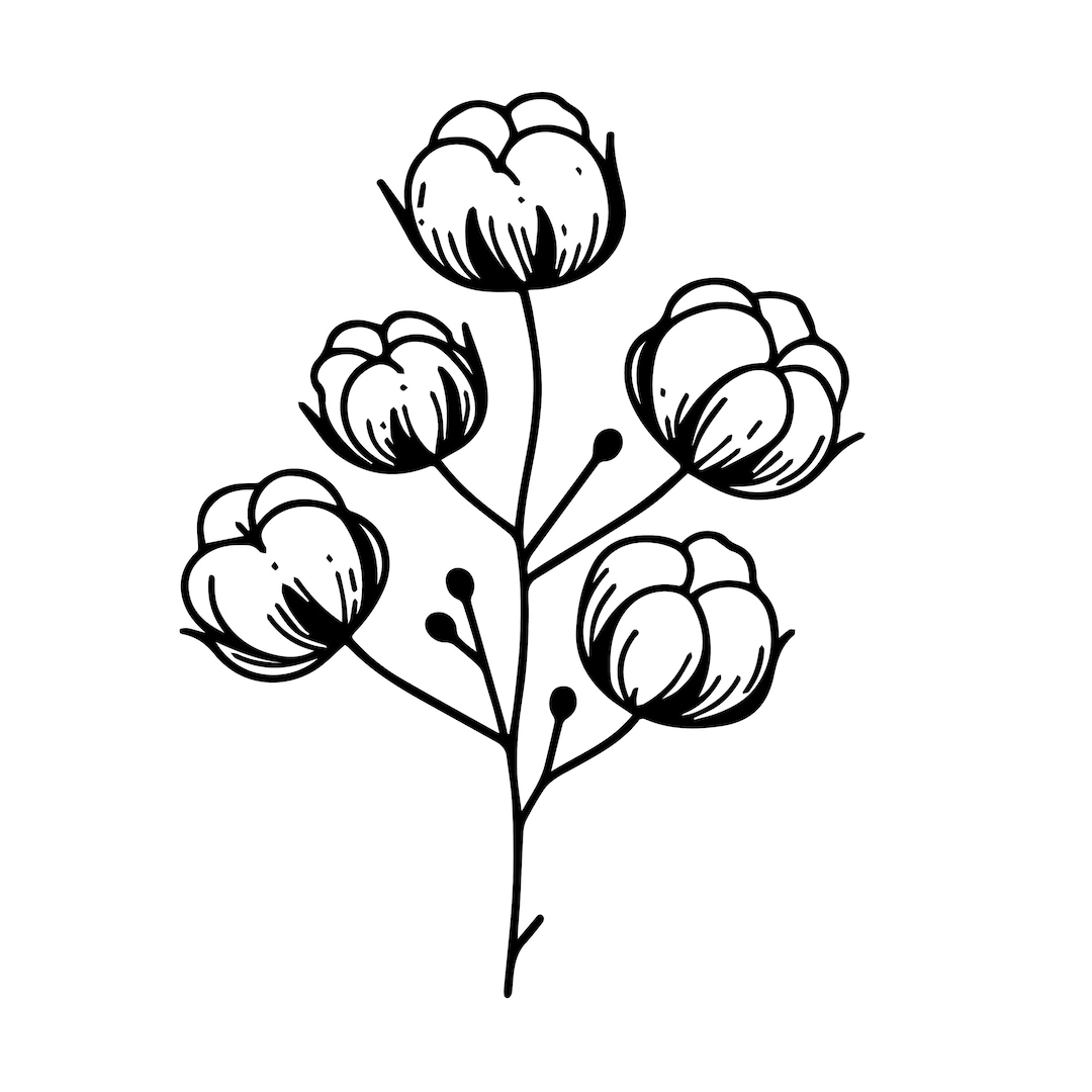 Cotton SVG, Cotton Clipart, Cotton Boll Clipart, Cotton Boll Svg ...