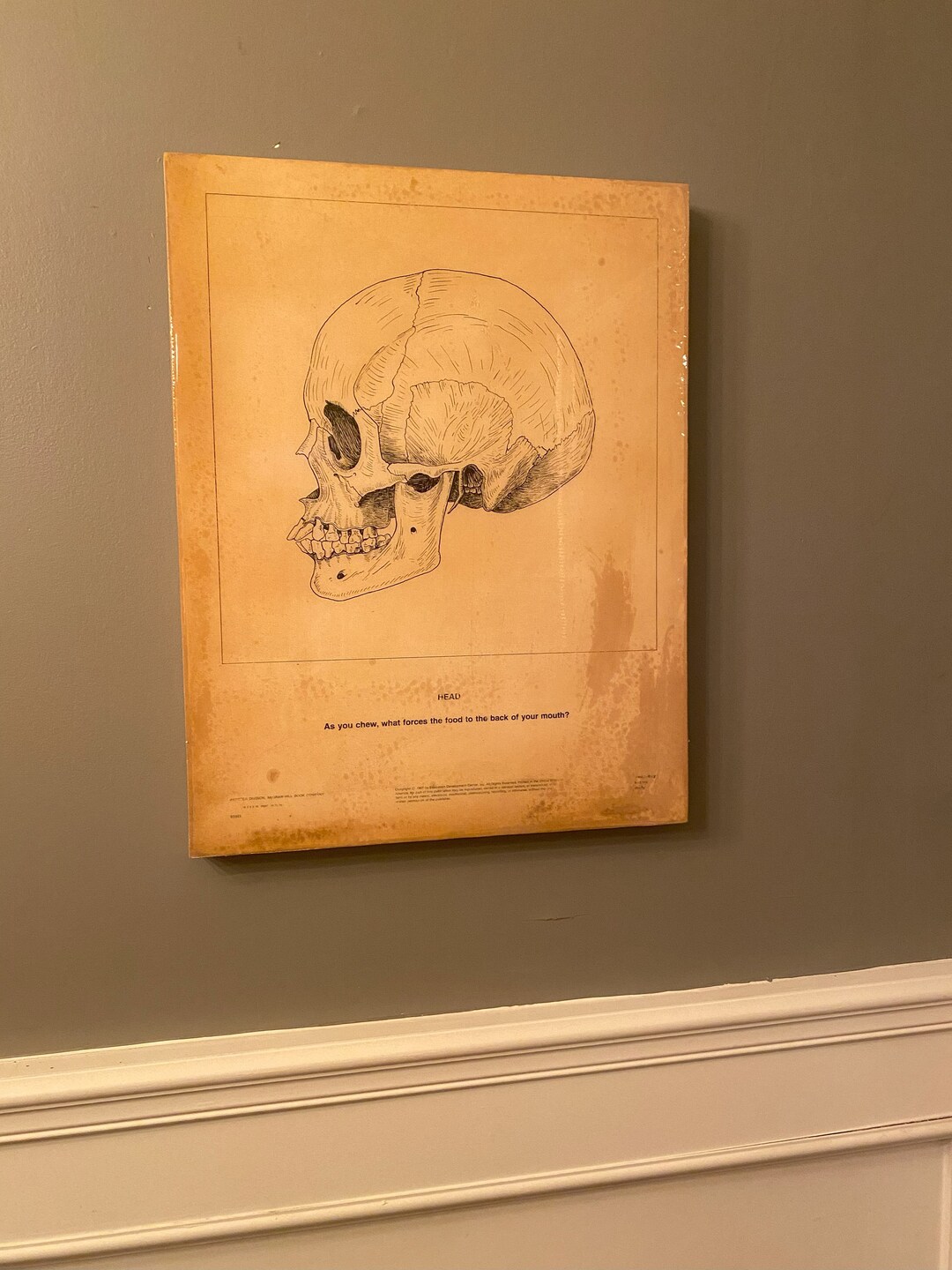 Vintage Science Poster Epoxied - Etsy