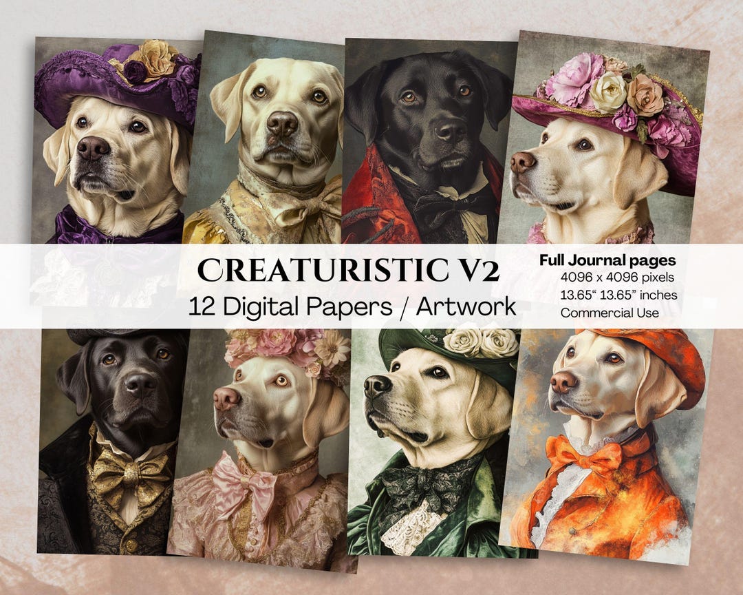 Labrador Retriever Portrait, Lord, Renaissance Dog, Wearing Dress, in ...