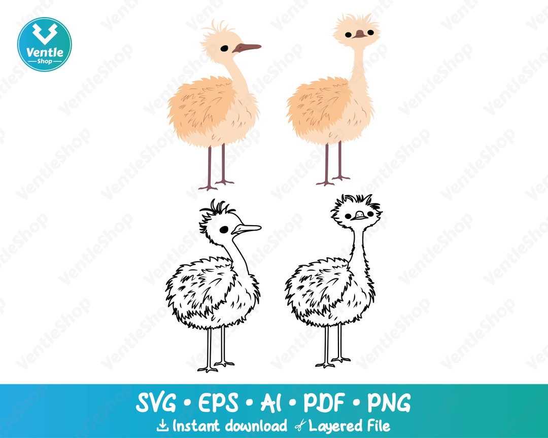 Emu SVG, Bundle Animals Color, Cute Clipart, Cricut Cut Files, Layered ...