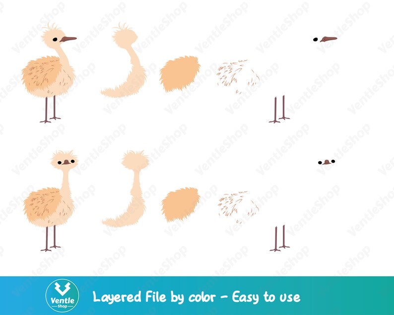 Emu SVG, Bundle Animals Color, Cute Clipart, Cricut Cut Files, Layered ...