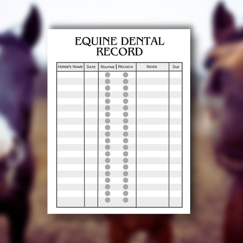 Equine Dental Records Tracker, Horse Care Tracker, Horse Medical Record ...