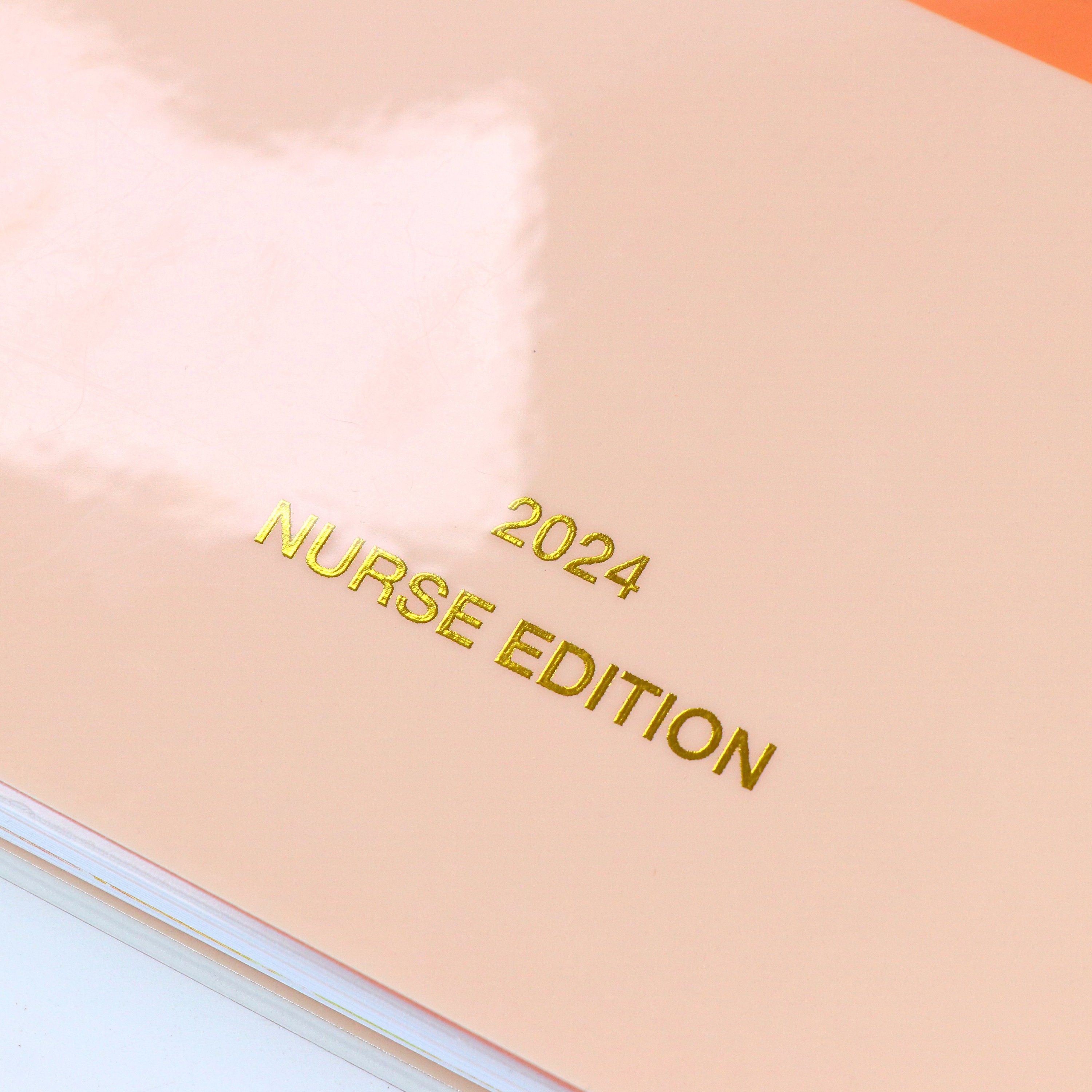 Nurse Planner, Nursing Planner, Planner for Nurses, Nurse Notebook ...