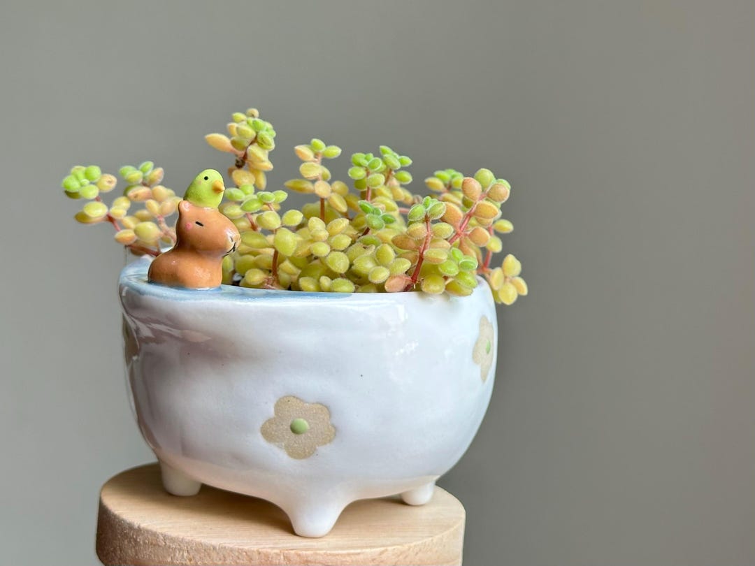 Handmade Ceramic Capybara Planters,cute Capybara Handmade Ceramic Pot ...