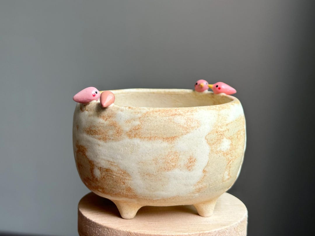 Minimalist Ceramic Plant Pots/birds Plant Pot/bird Planter/bird ...