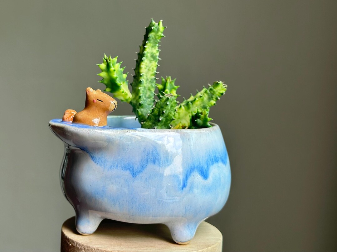 Handmade Ceramic Capybara Planters,capybara-themed Handmade Ceramic ...