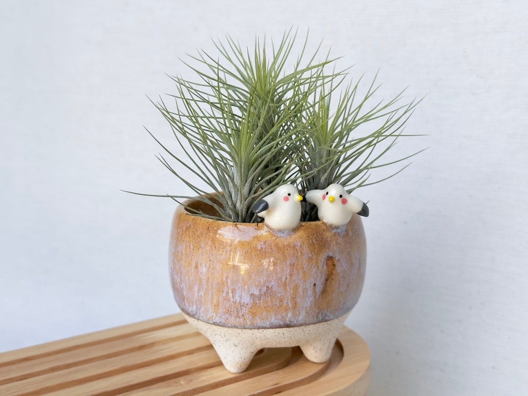 Bird Plant Pot/cute Bird Ceramic Plant Pot/bird Planter/handmade ...